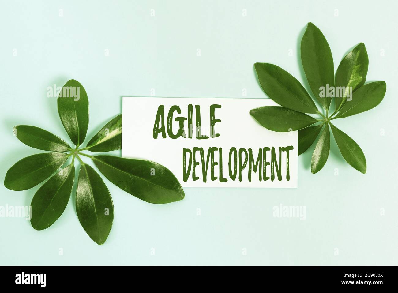 Hand writing sign Agile Development. Conceptual photo alliance between ...