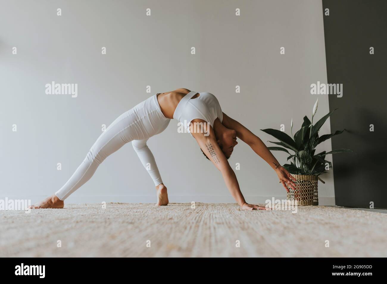 Coach flexible hi-res stock photography and images - Alamy