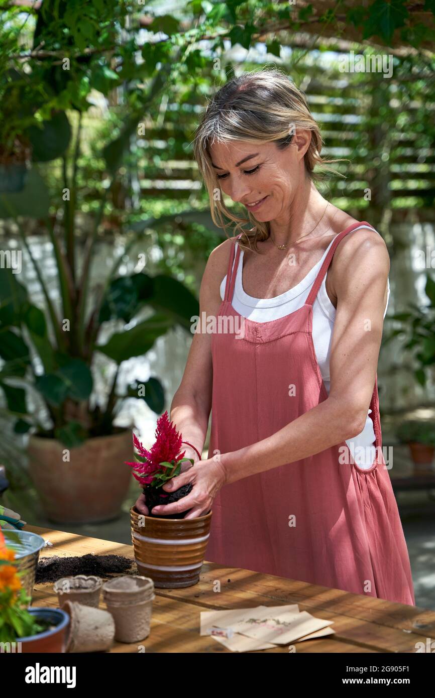 Woman standing in plantation hi-res stock photography and images - Alamy