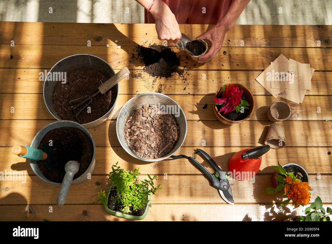 Woman putting soil in container doing plantation at table in backyard ...