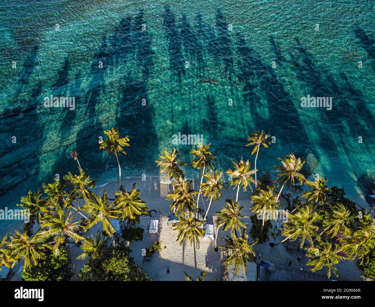 Palm trees shadow at beach on Thulusdhoo Island, Kaafu atoll, Maldives ...