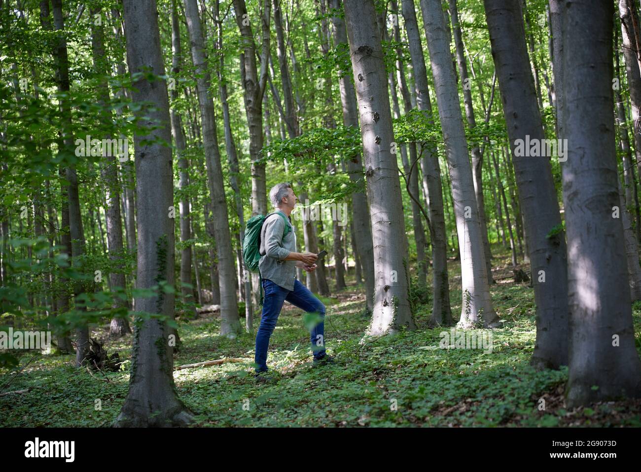 Male trees hi-res stock photography and images - Alamy
