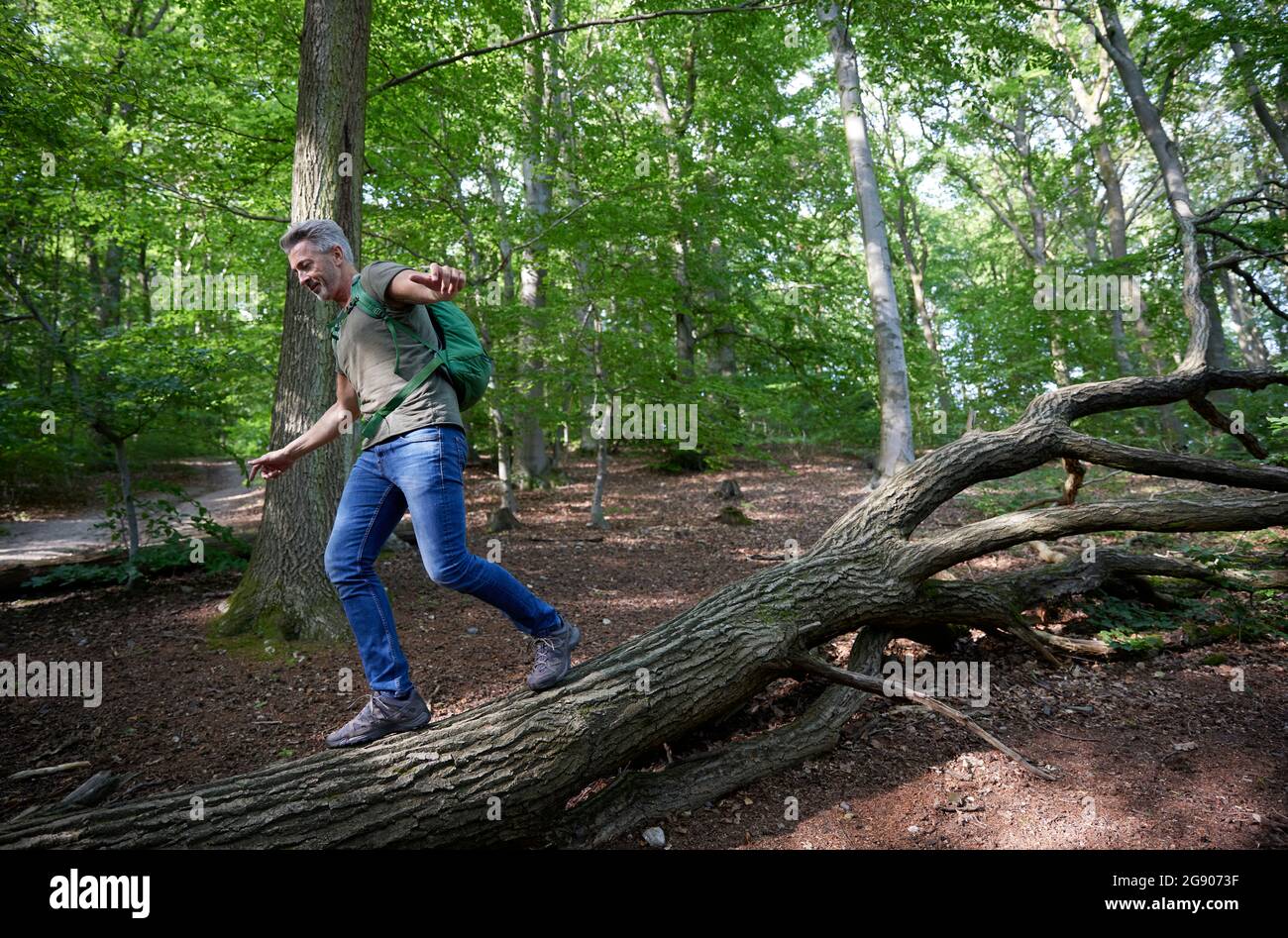 Carefree man with arms outstretched walking on fallen tree in forest ...