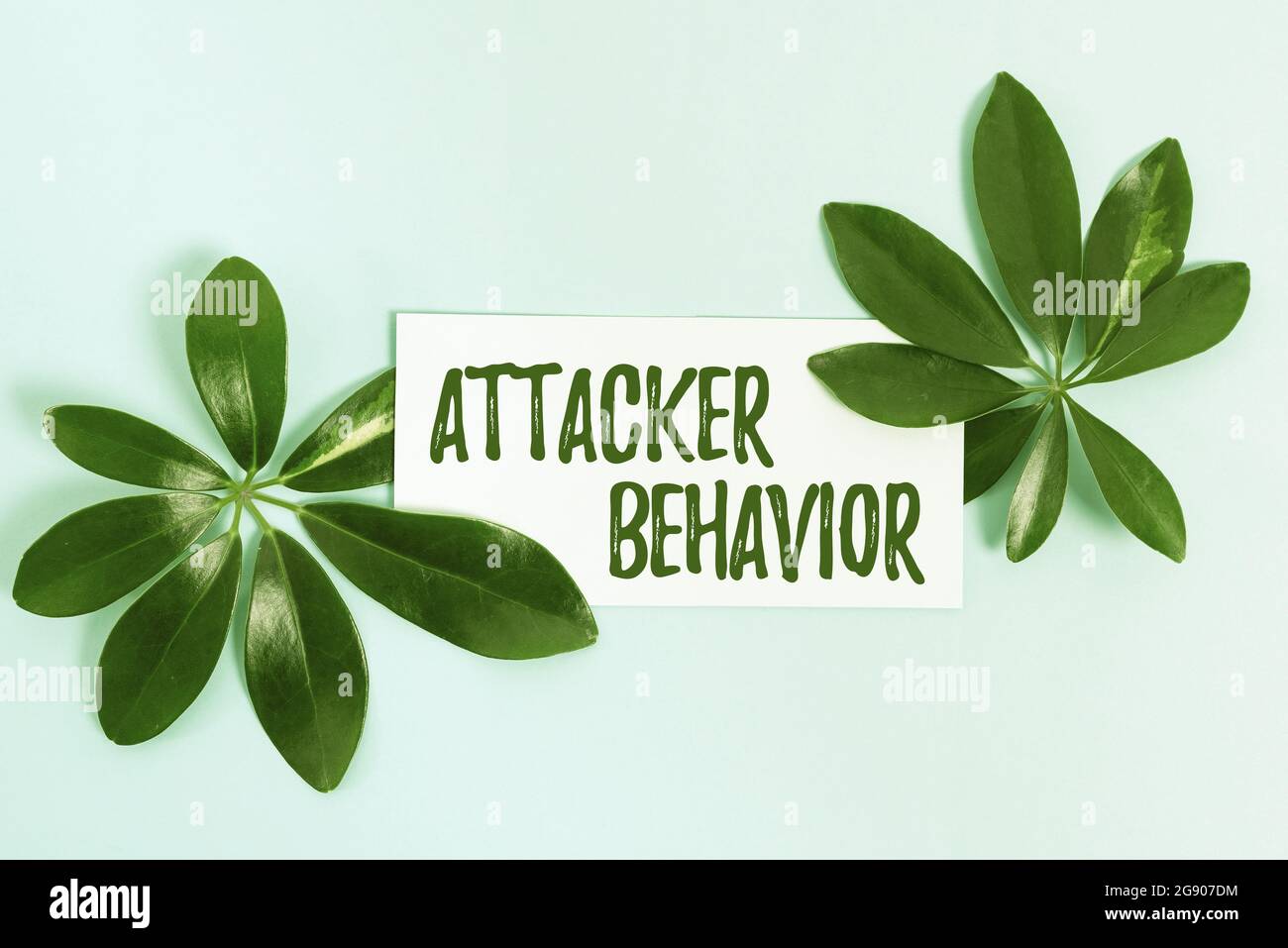 Conceptual Caption Attacker Behavior Word Written On Analyze And