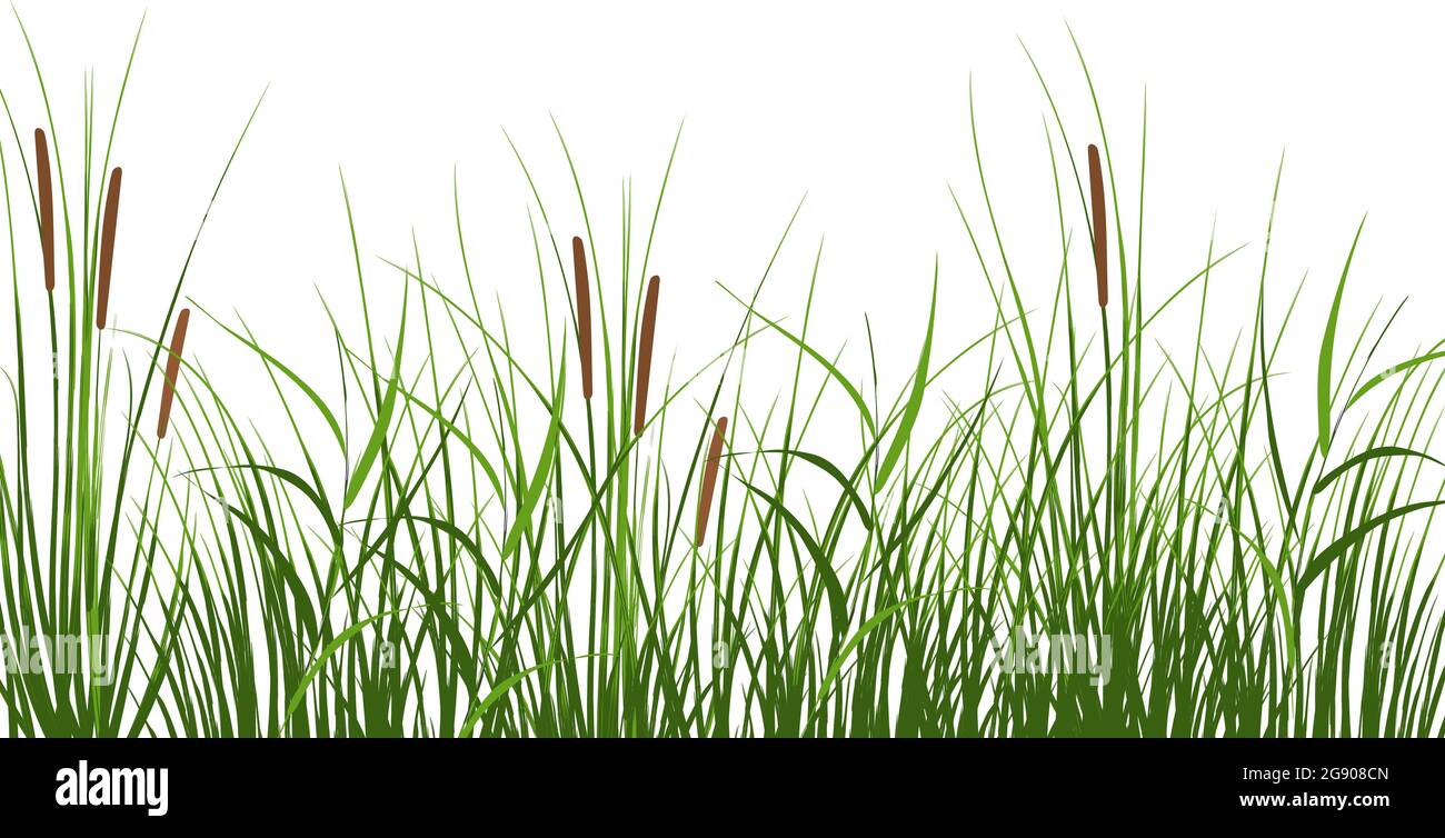 Cane silhouette on white background.Vector hand drawing sketch Stock ...