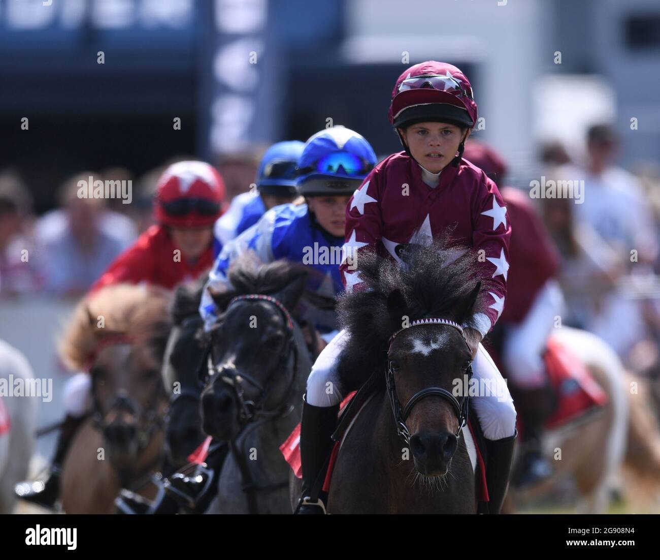Warwick Race Course High Resolution Stock Photography and Images - Alamy