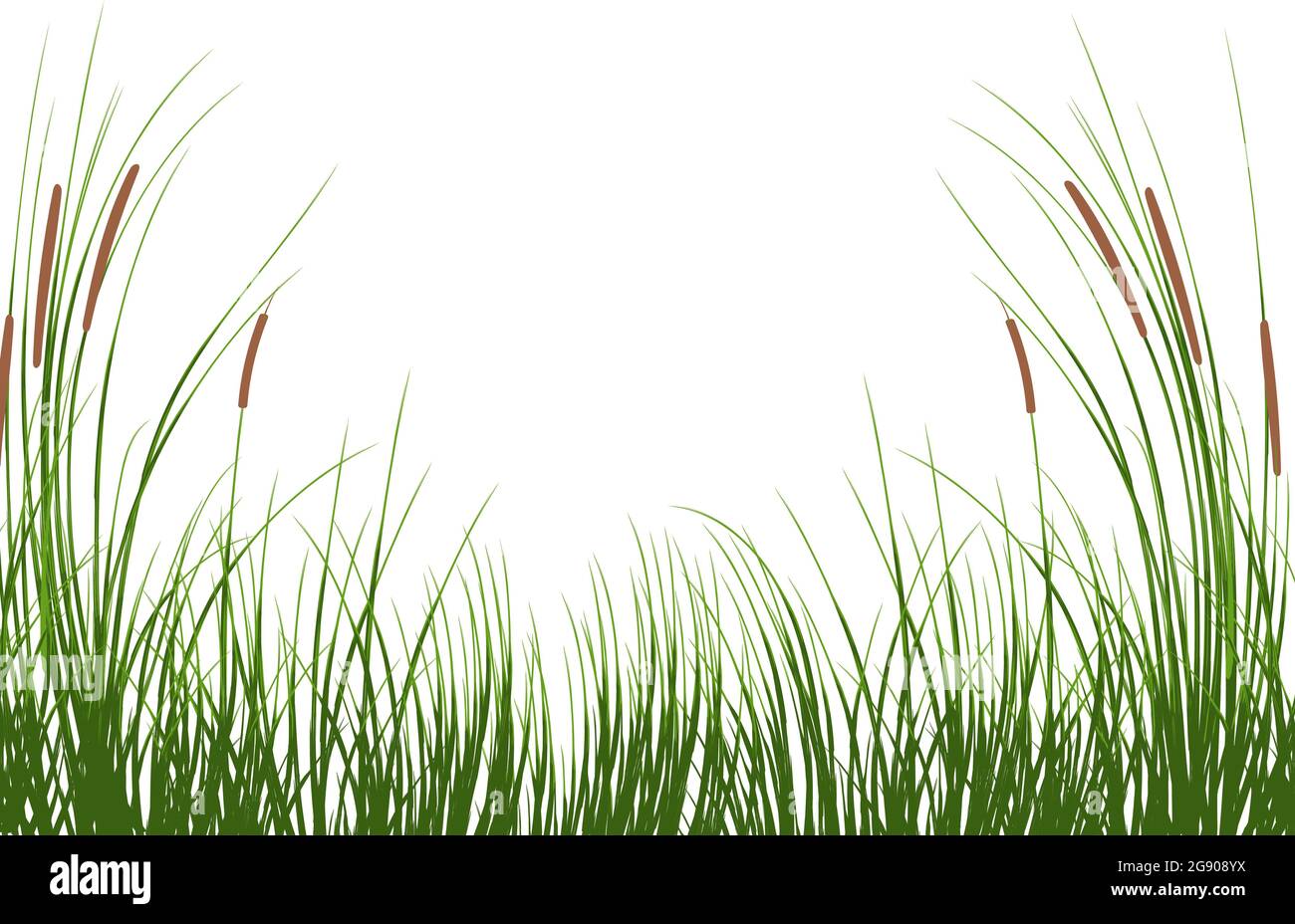 Cane silhouette on white background.Vector hand drawing sketch Stock ...