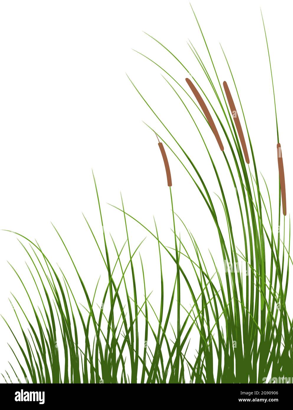 Cane silhouette on white background.Vector hand drawing sketch Stock ...