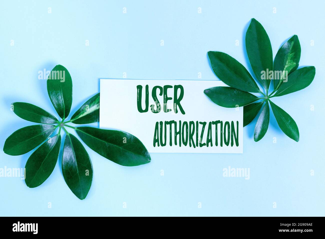 Sign displaying User Authorization. Business approach security ...