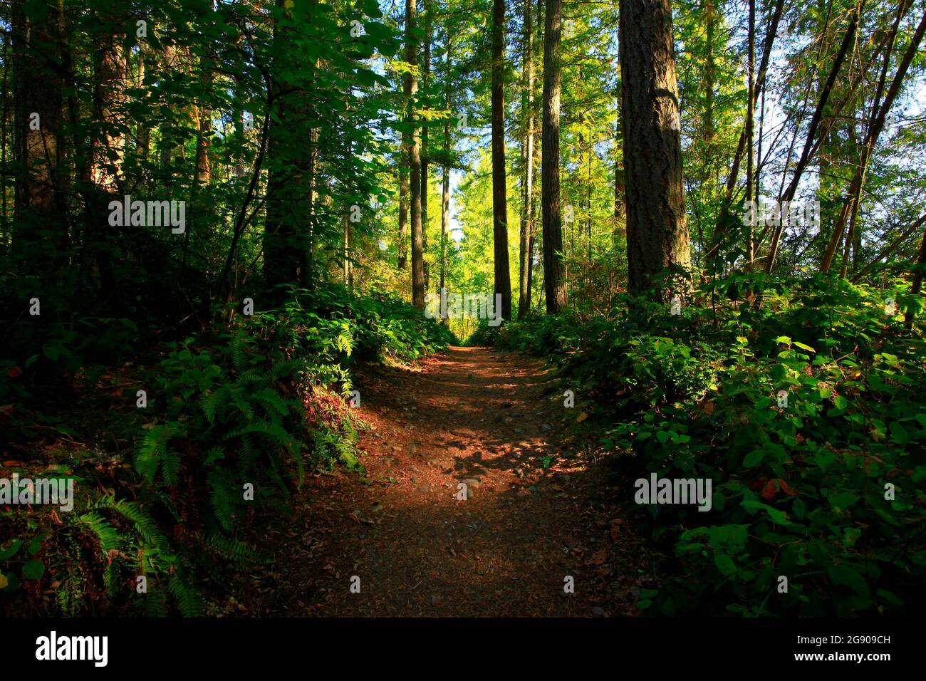 Pacfiic northwest hi-res stock photography and images - Alamy