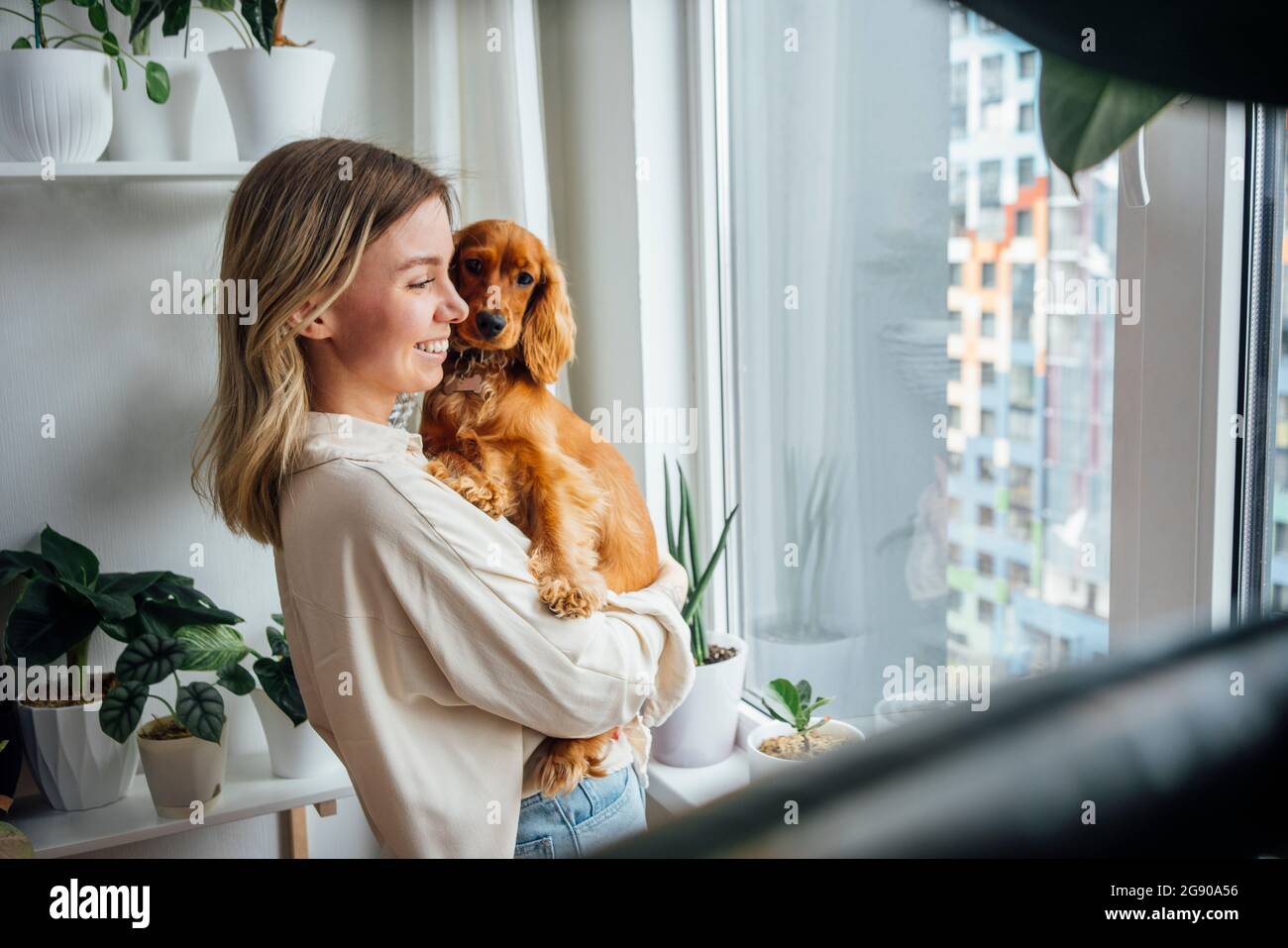 Dog through window hi-res stock photography and images - Alamy