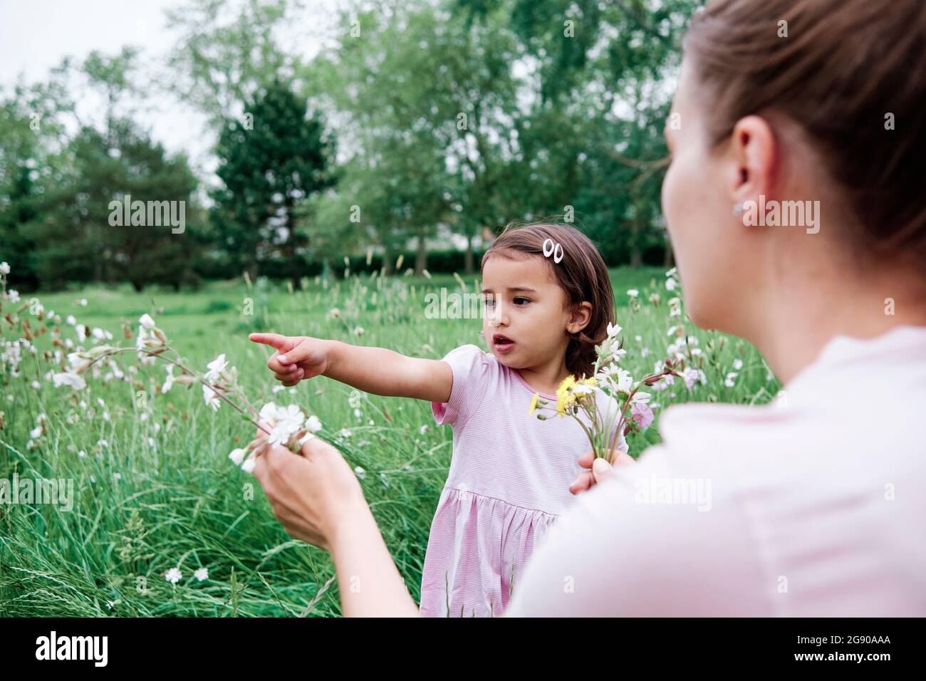 Mother holding flowers while daughter pointing at park Stock Photo - Alamy