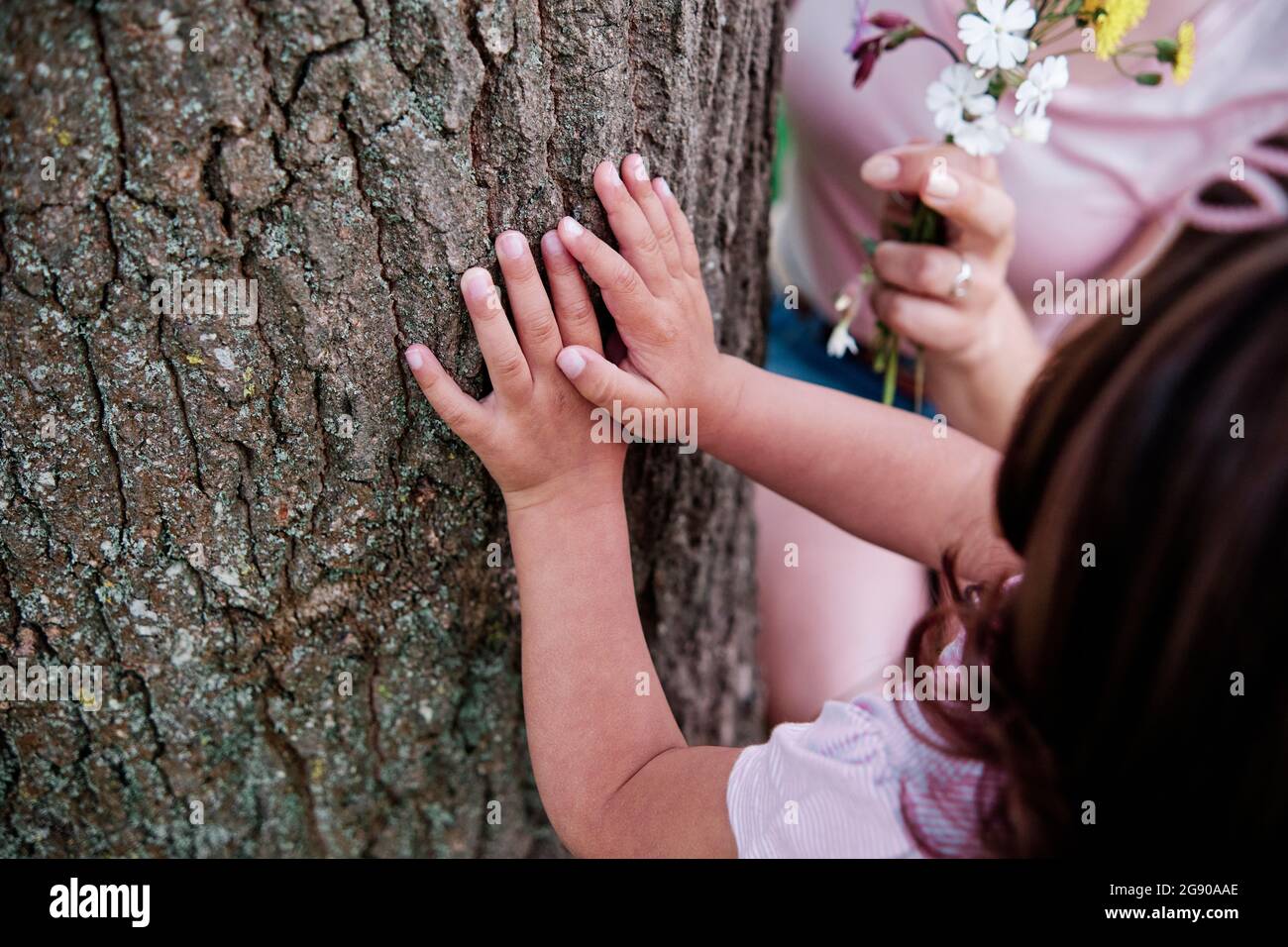 Hand touching bark hi-res stock photography and images - Alamy