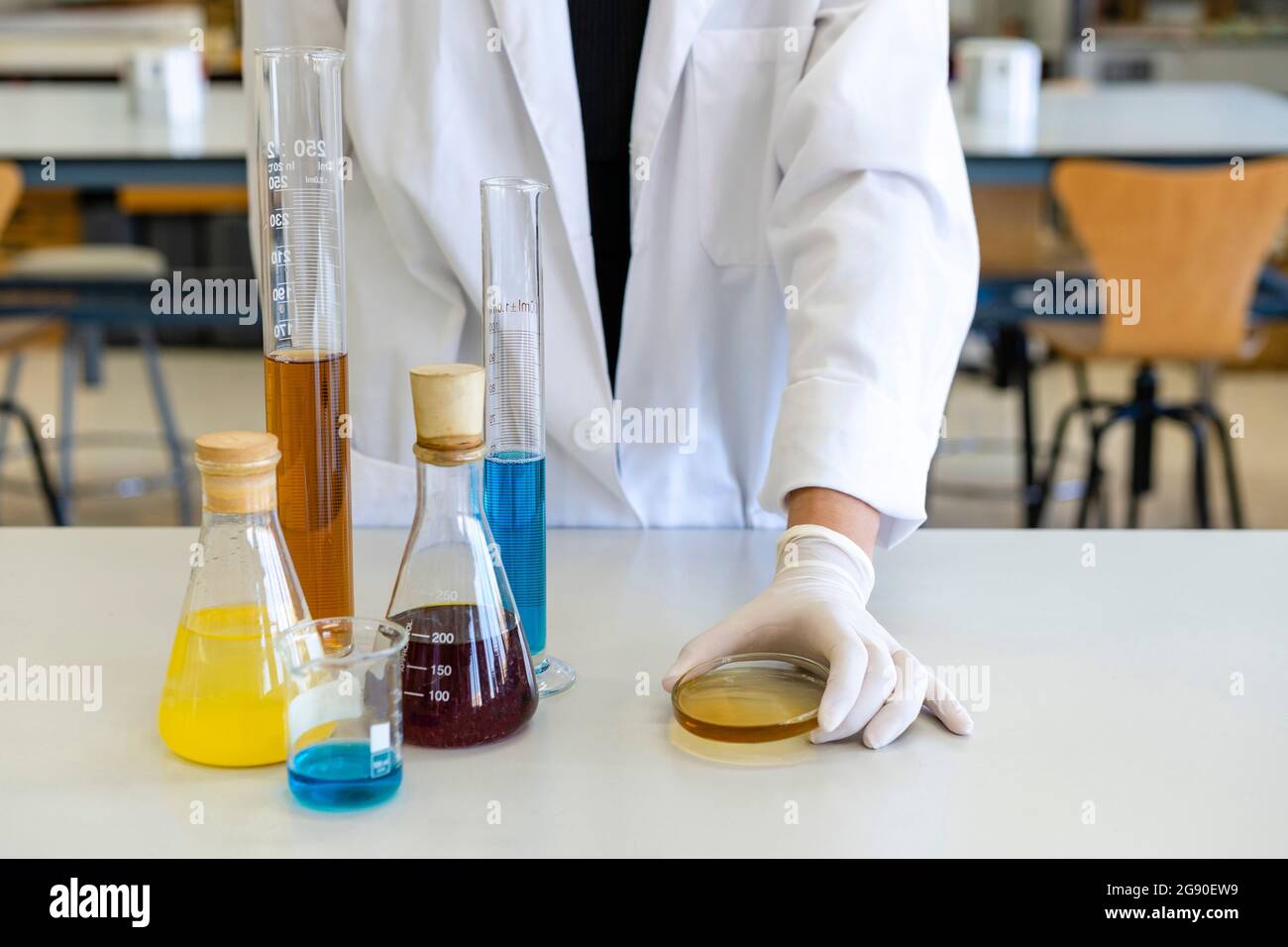Young female scientist with object plate and laboratory equipment at ...