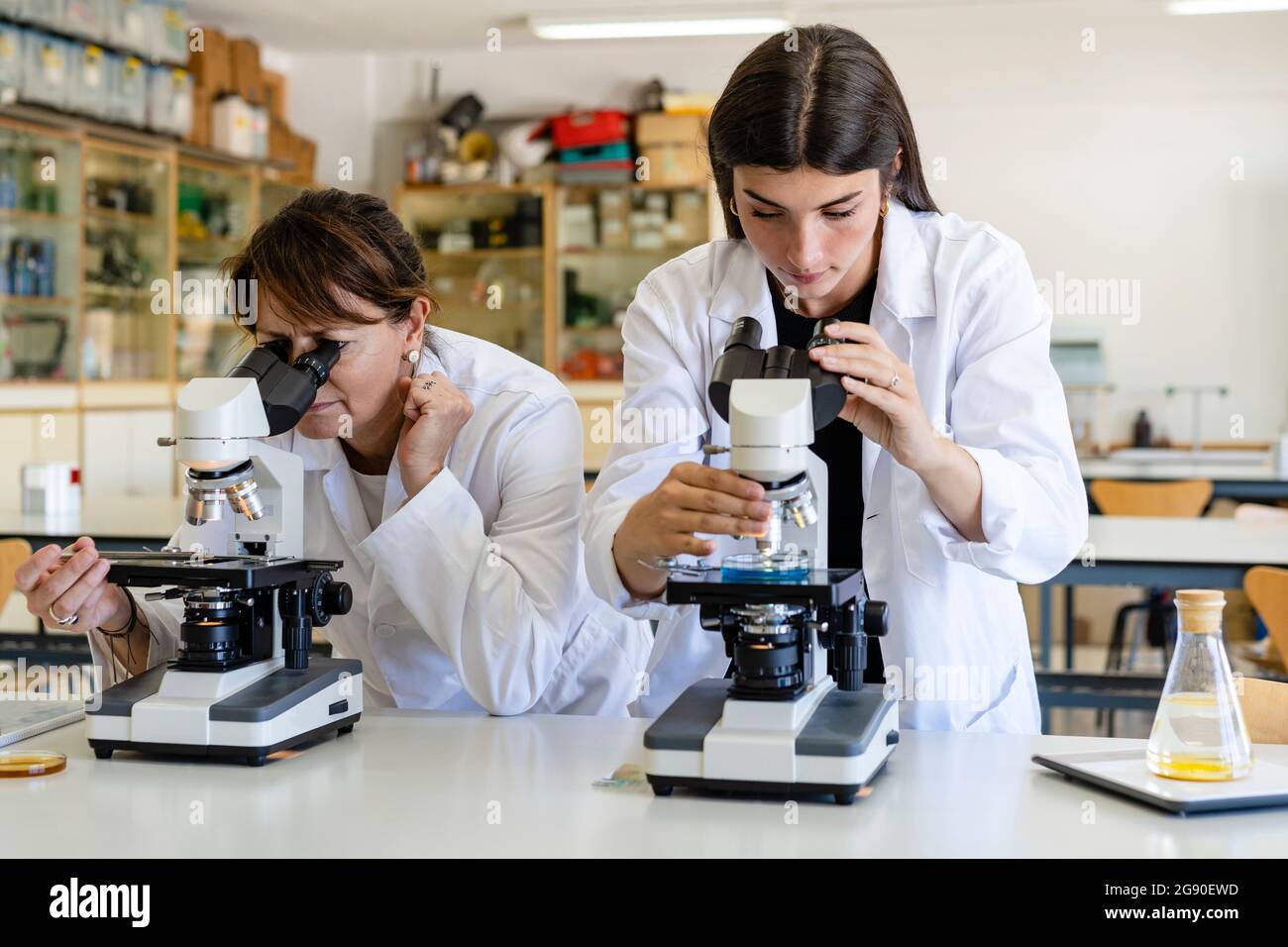 Female scientists examining chemical through microscopes at laboratory ...