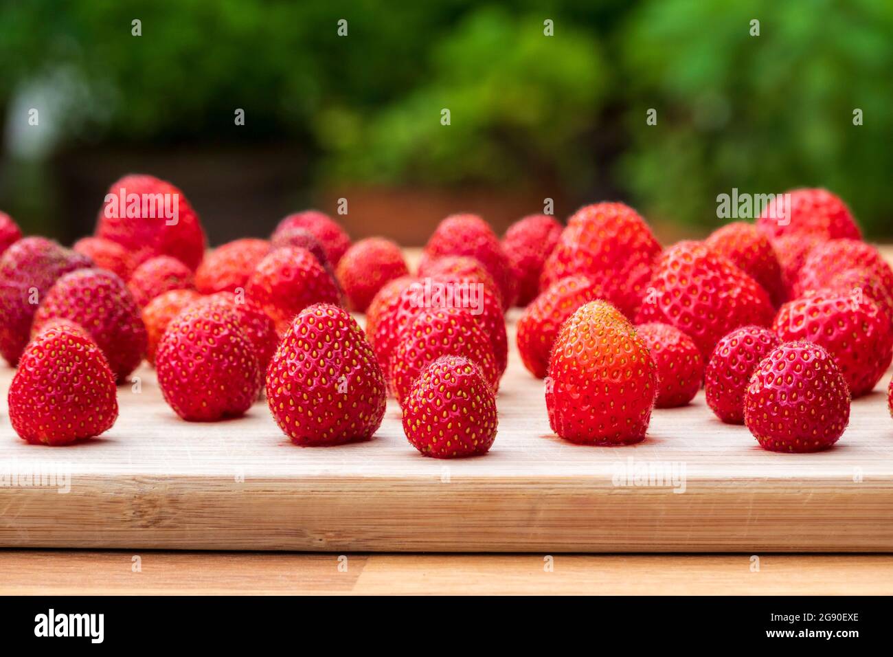 Fresh ripe strawberries on wooden cutting board Stock Photo - Alamy