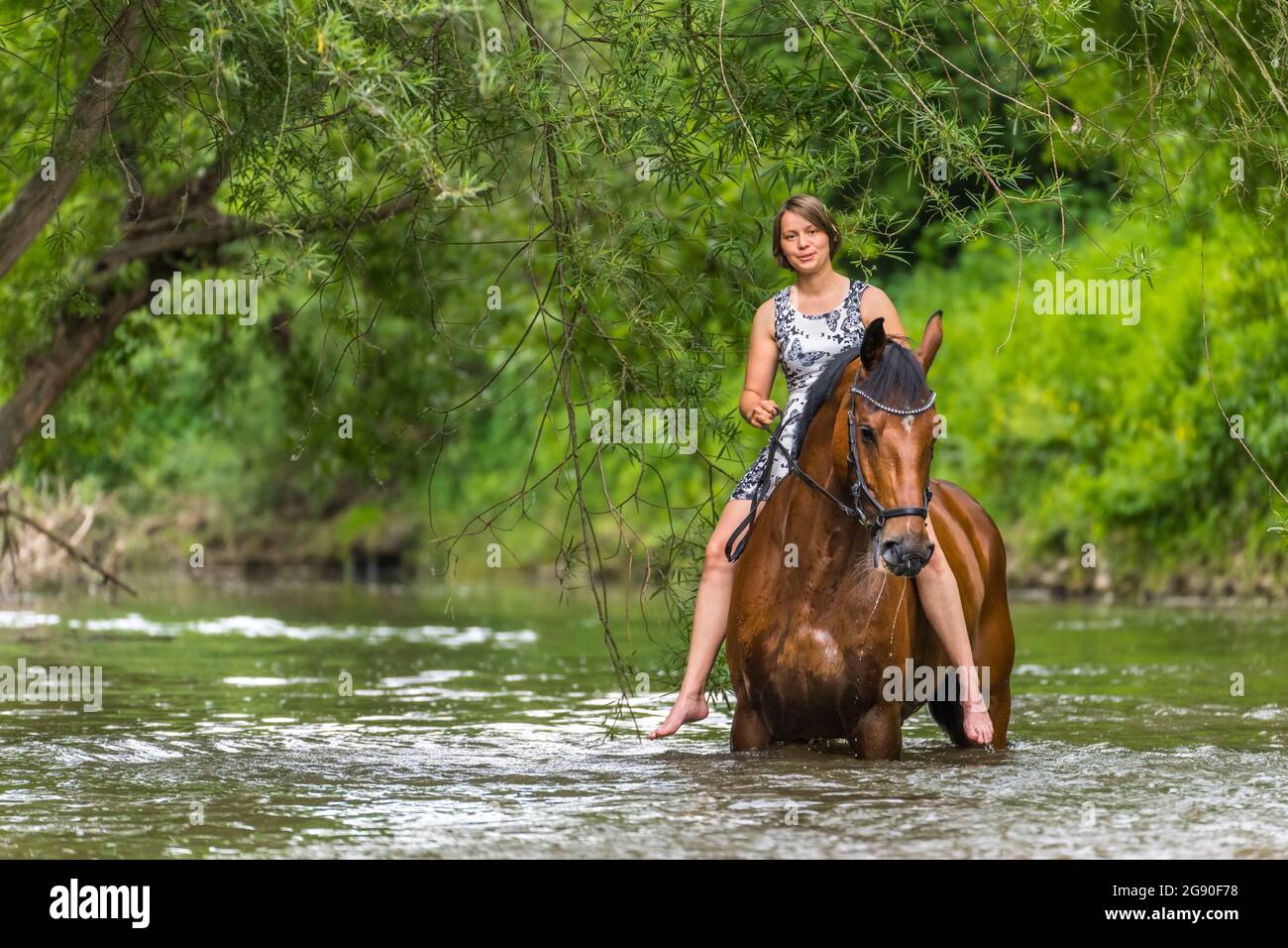 Young woman riding horse in river at forest Stock Photo - Alamy