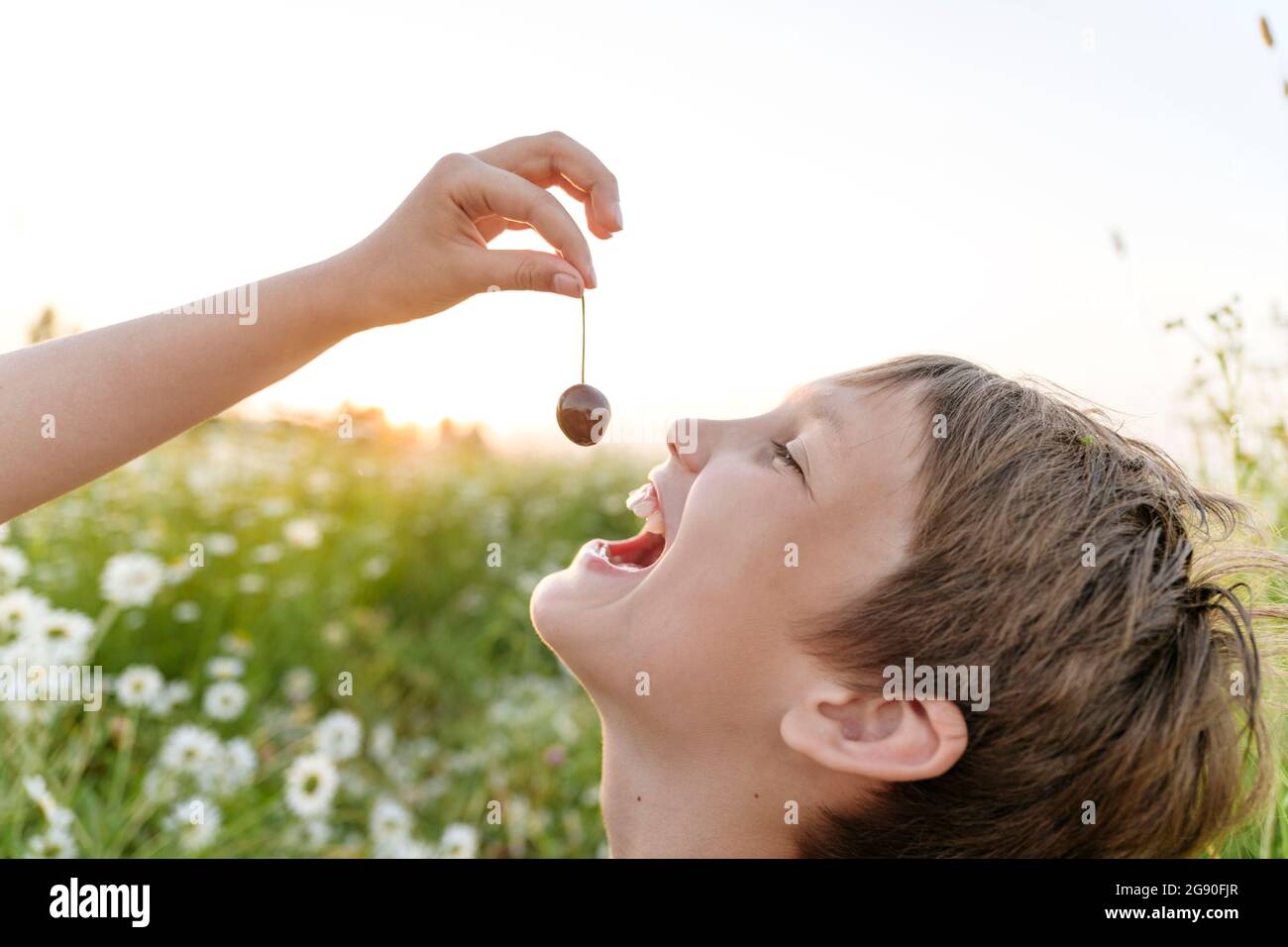 Girl feeding cherry to boy at field Stock Photo - Alamy
