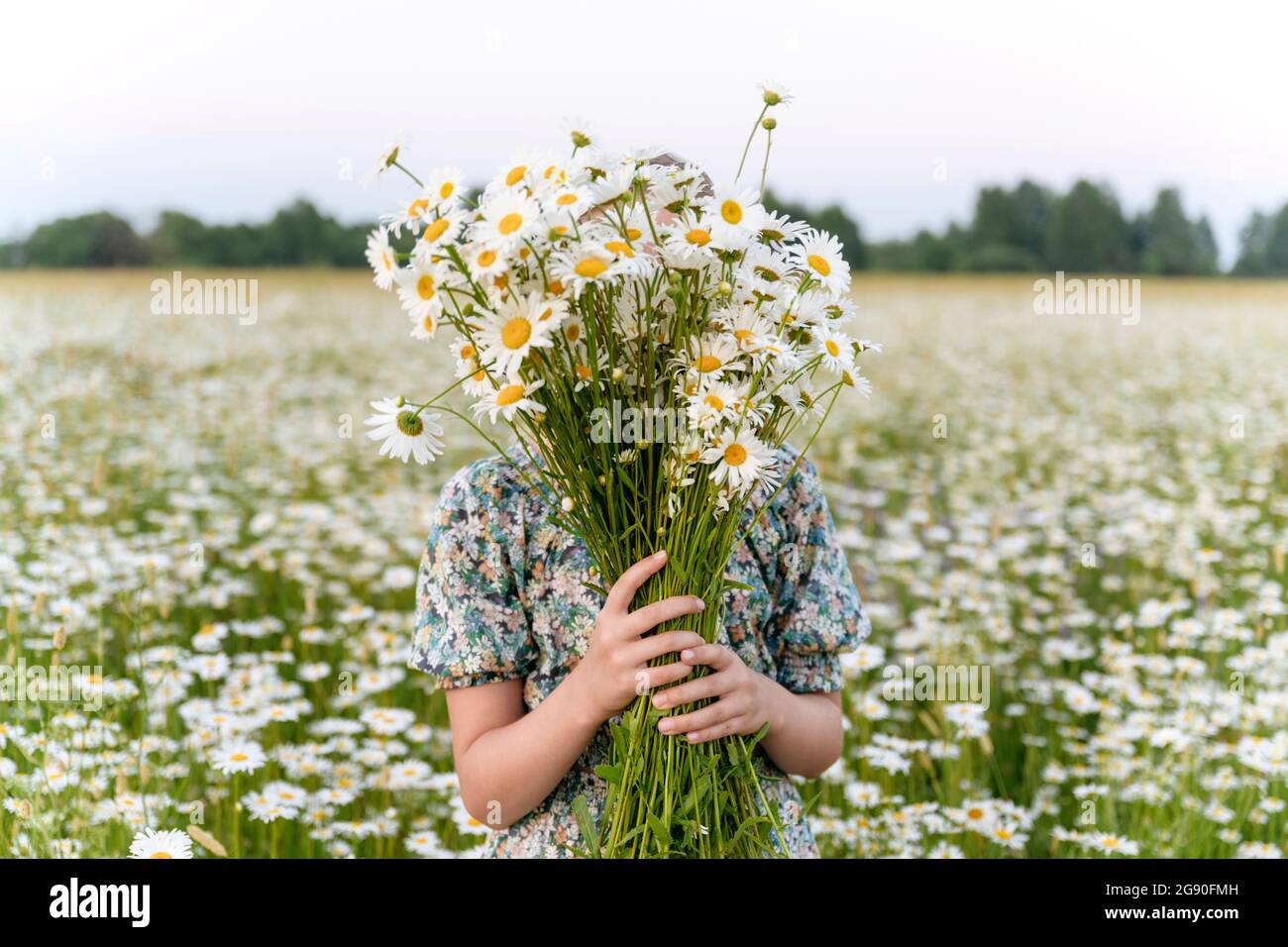 Girl covering face with bunch of flowers at field Stock Photo - Alamy