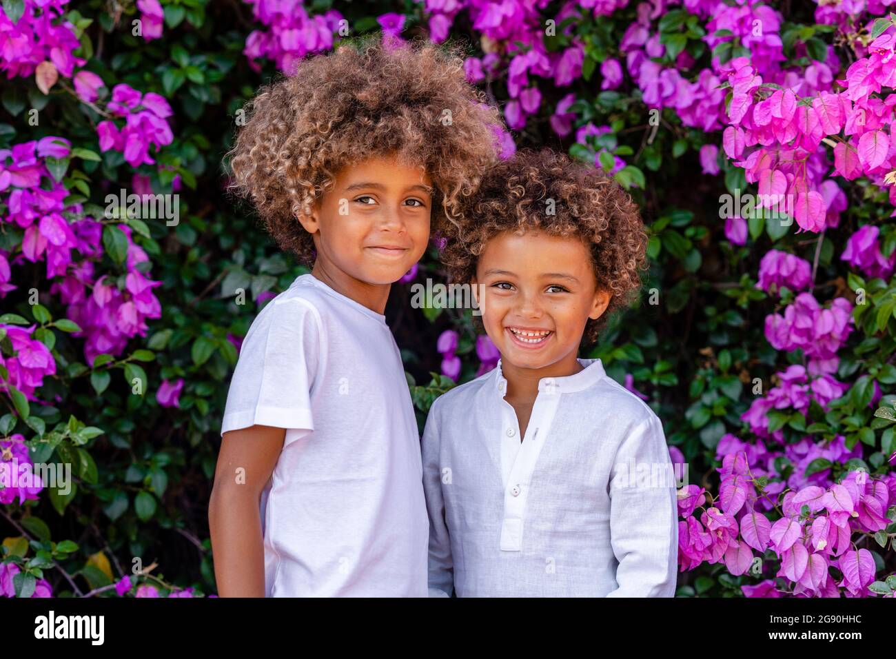 Afro brothers standing in front of Bougainvillea tree Stock Photo - Alamy