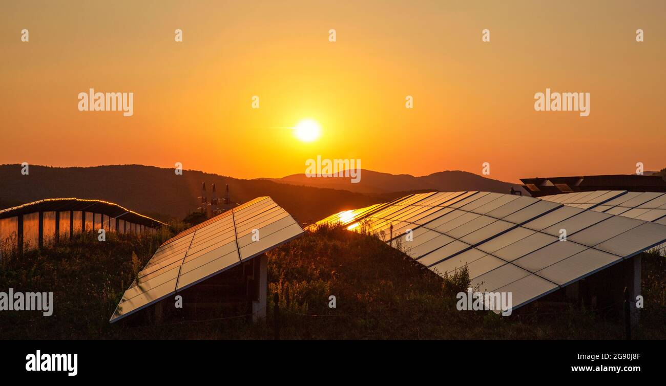 Sun setting over solar farm Stock Photo - Alamy