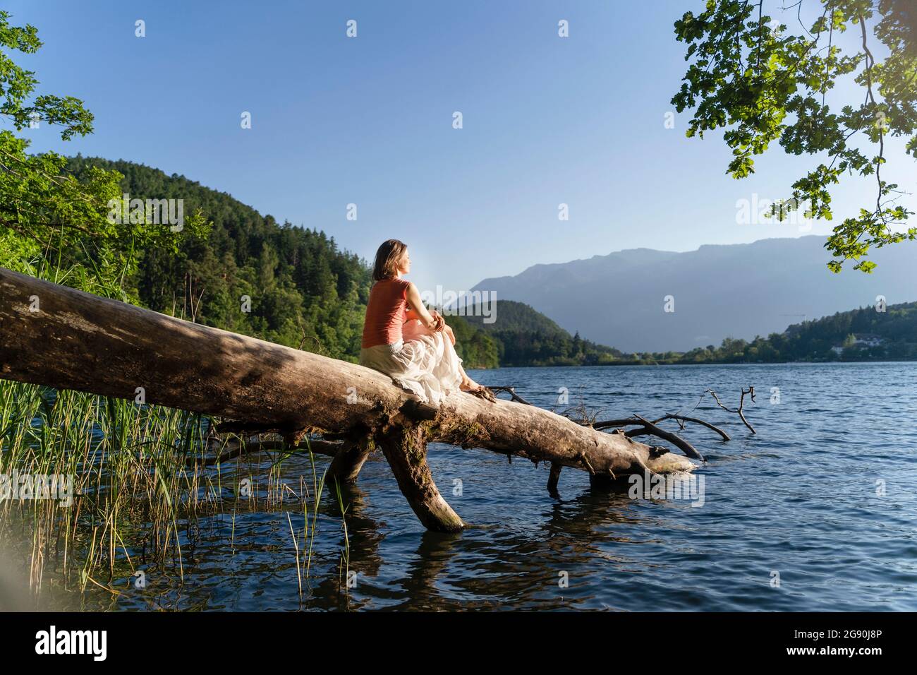 Female Sitting On Fallen Tree Trunk High Resolution Stock Photography ...
