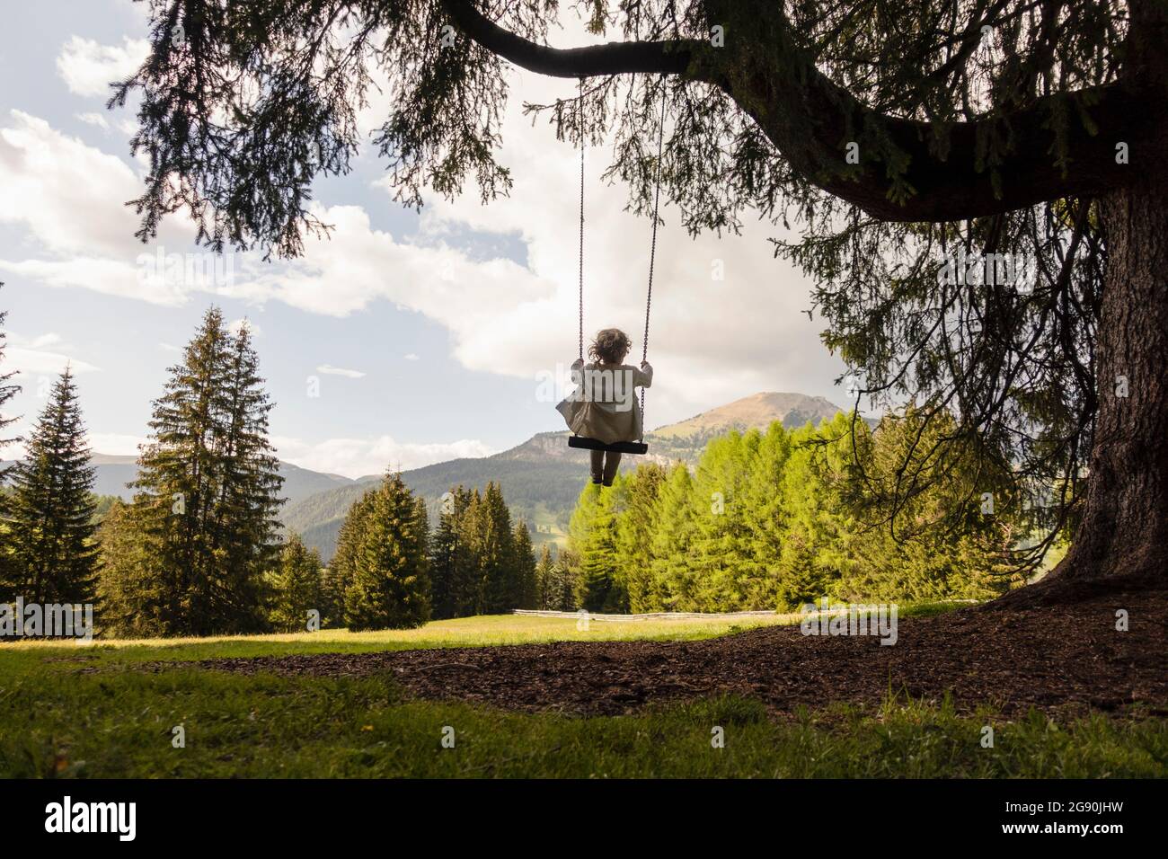 Girl swinging on rope swing at forest Stock Photo - Alamy