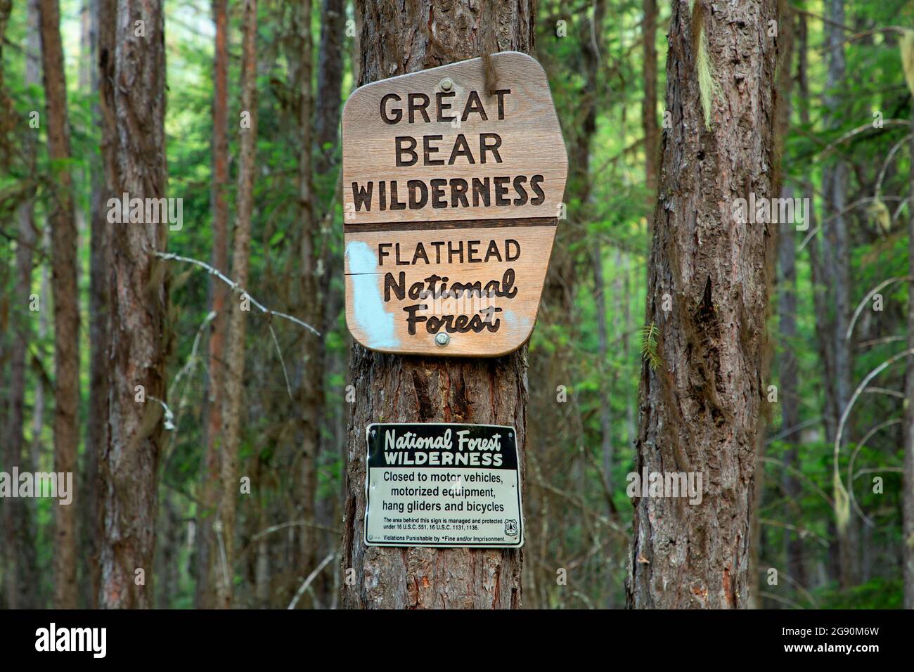 Wilderness boundary sign, Great Bear Wilderness, Flathead National ...