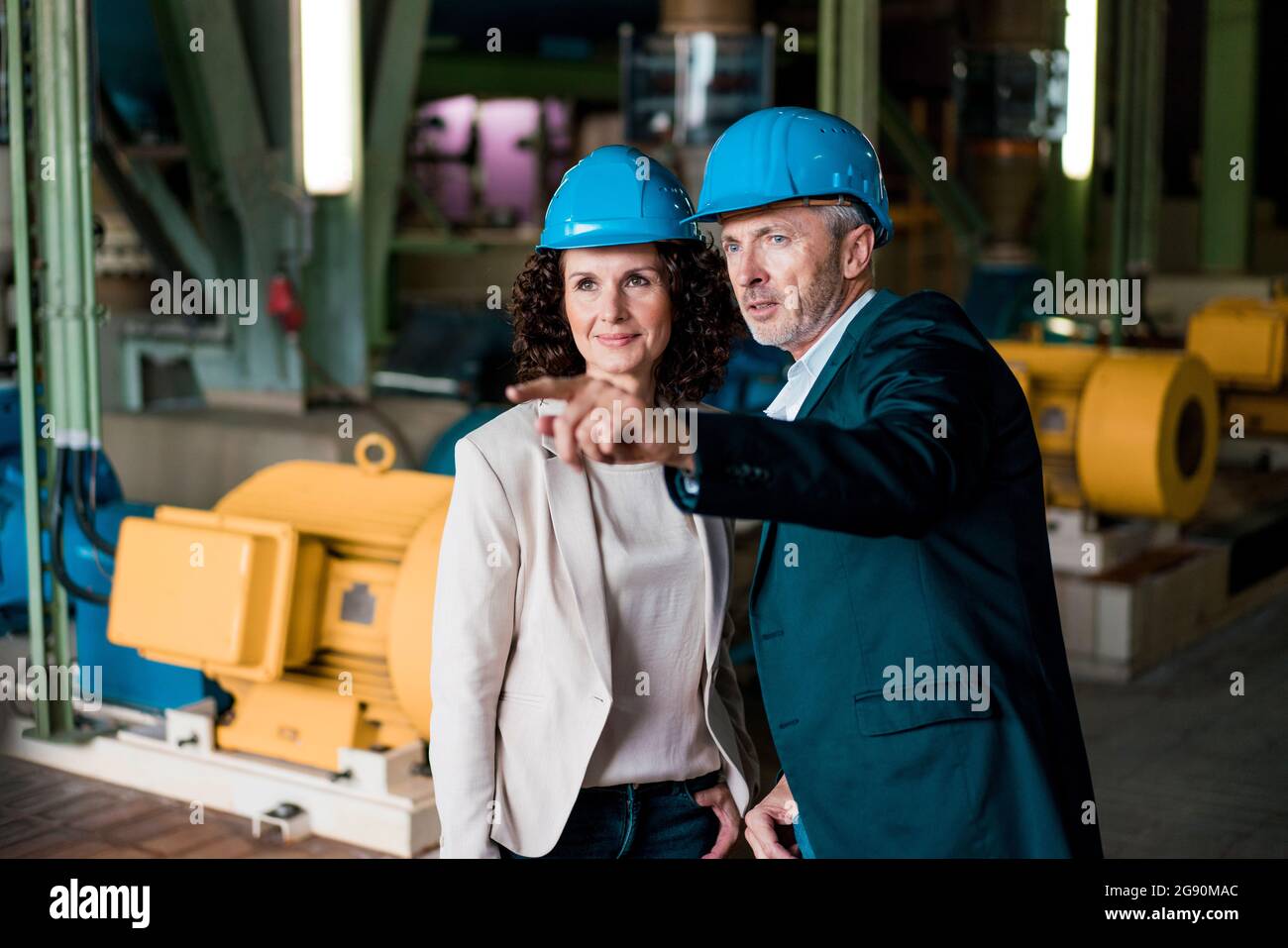 Male inspector pointing while standing by colleague at workshop Stock ...
