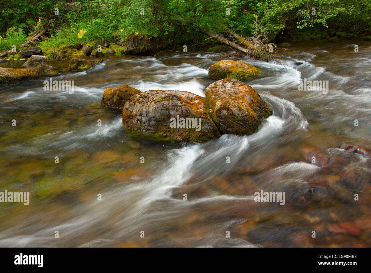 Stanton Creek along Grant Ridge Trail, Great Bear Wilderness, Flathead ...