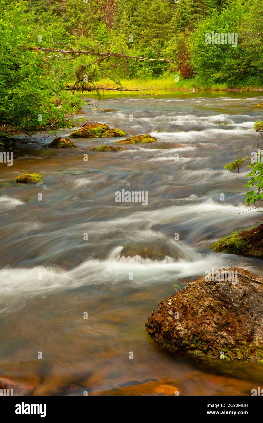 Stanton Creek along Grant Ridge Trail, Great Bear Wilderness, Flathead ...