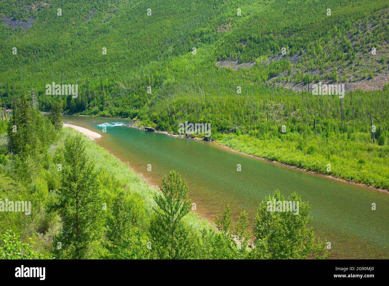 North Fork Flathead Wild and Scenic River, Flathead National Forest ...