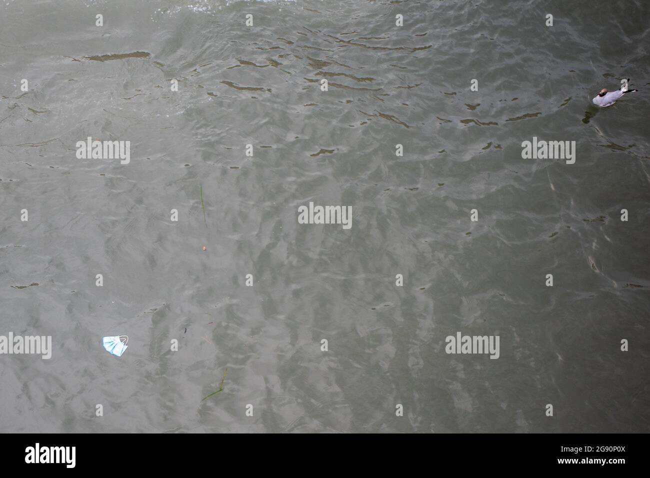 a mouth and nose mask floats on the surface of a lake Stock Photo - Alamy