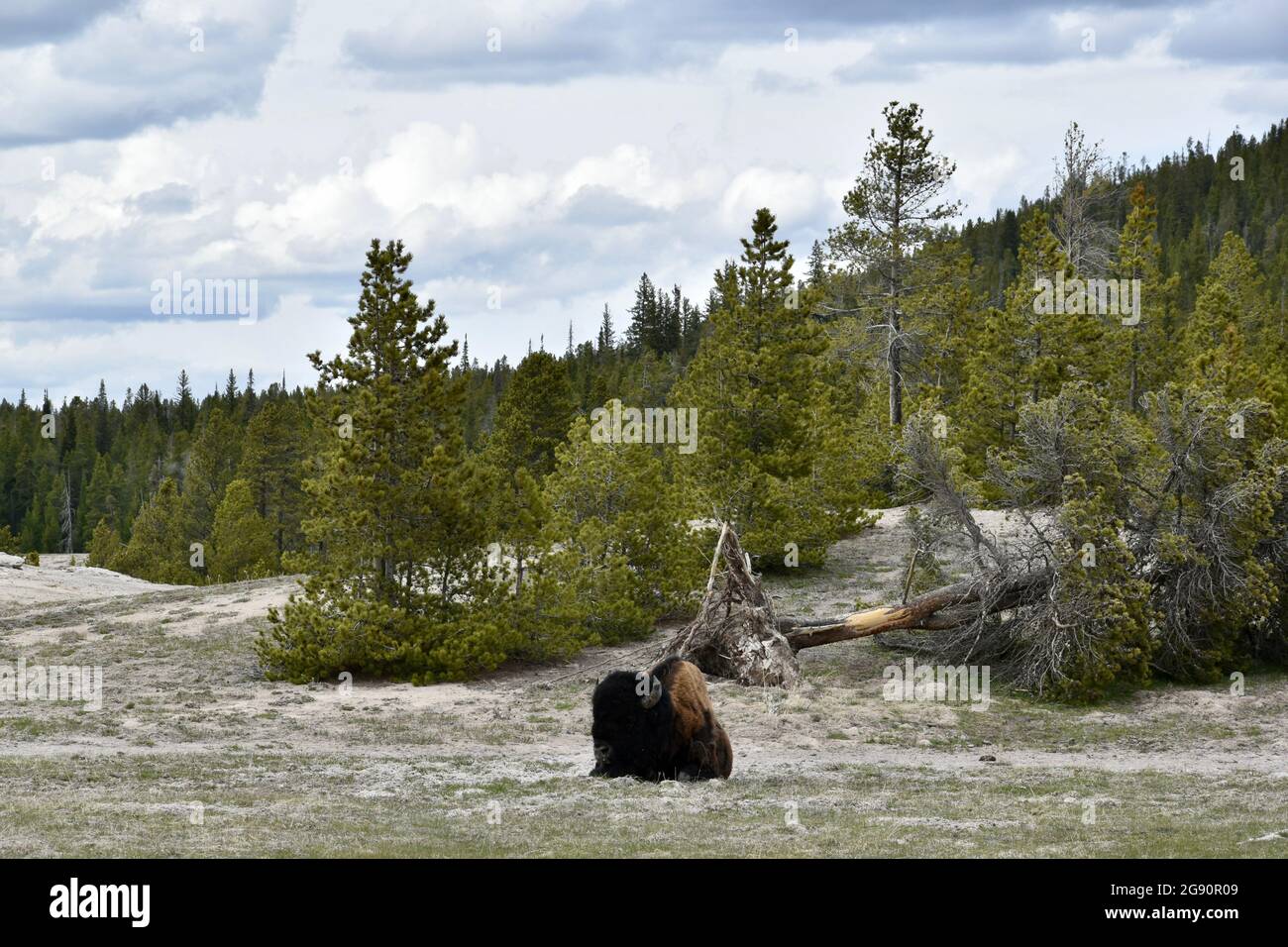 World famous Yellowstone National Park, the worlds first national park ...