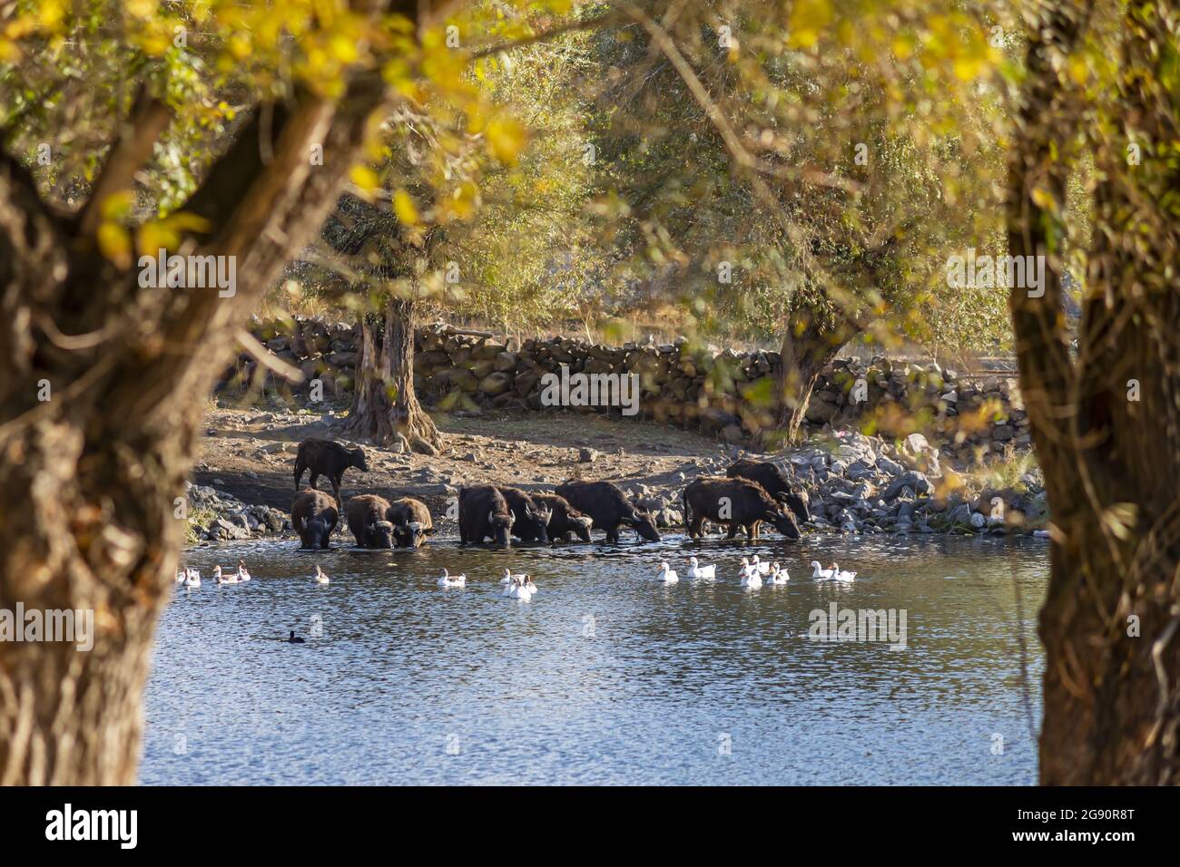 Plastic waste in the river, pollution, and the environment in the water ...