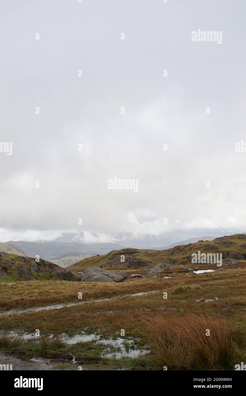 Boggy moorland: grass, rocks and wet puddles on the top of a mountain ...