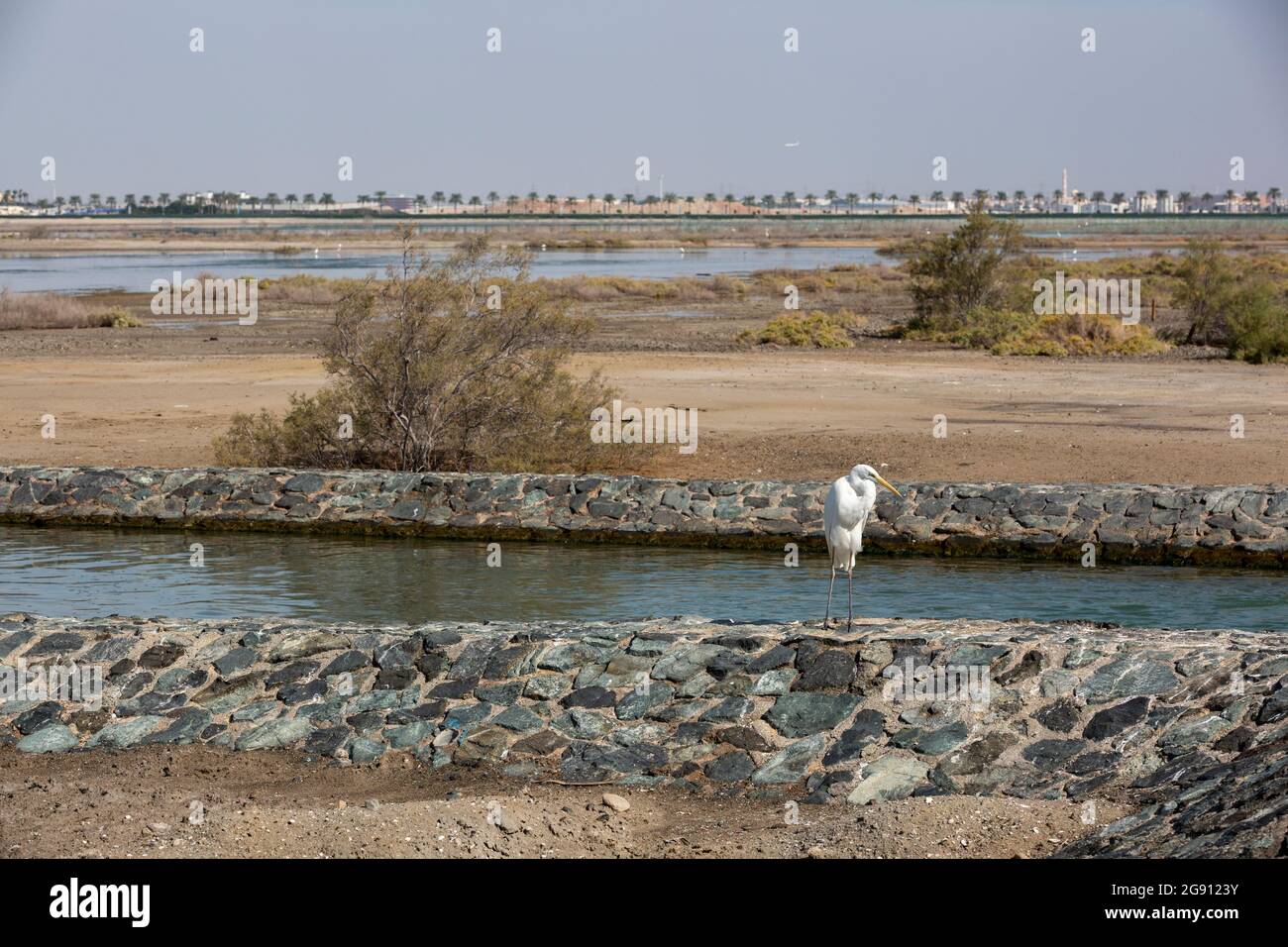 Al jaddaf walk hi-res stock photography and images - Alamy