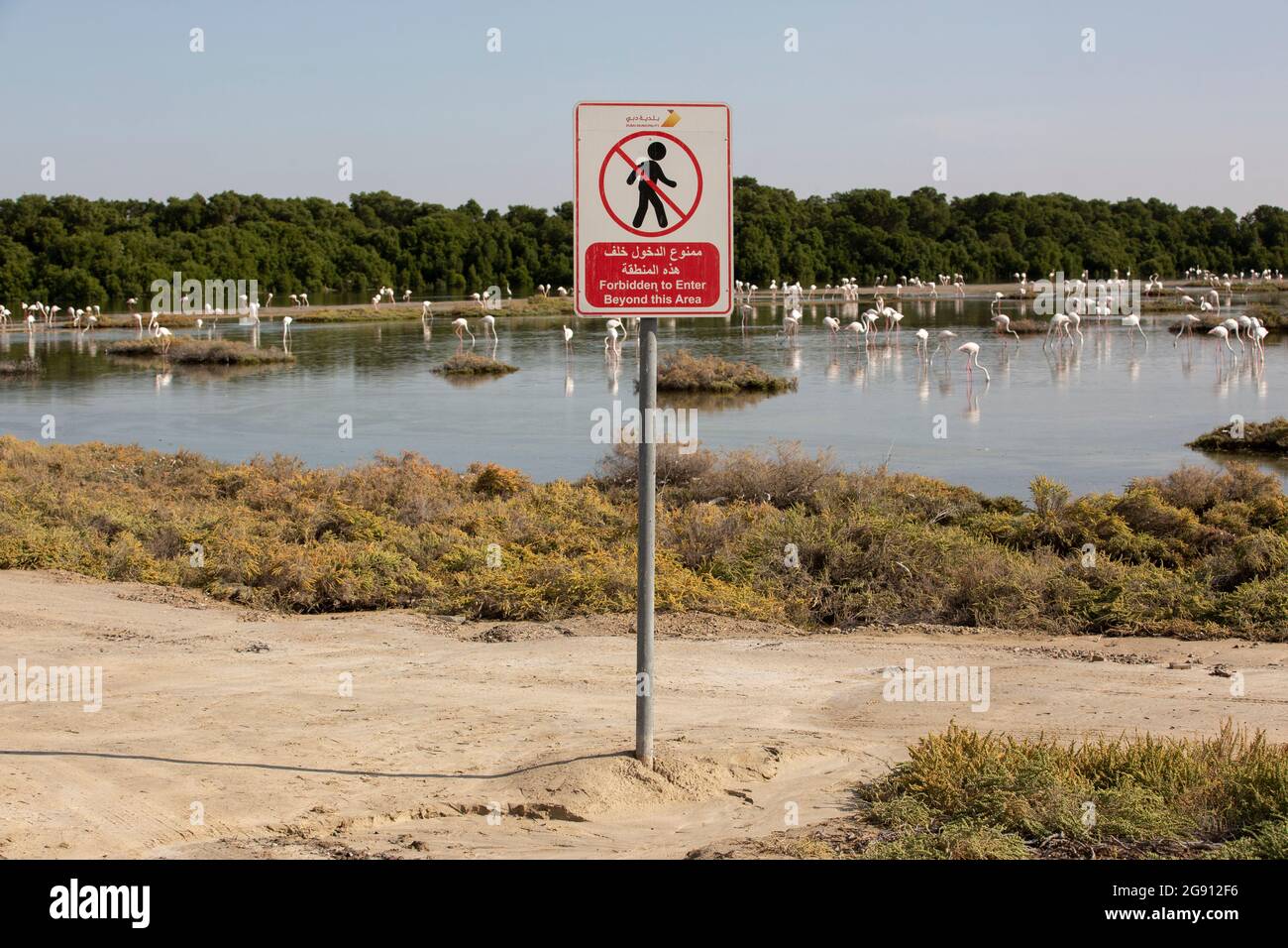 Signage at the Ras Al Khor wetlands reserve in Dubai, UAE Stock Photo ...