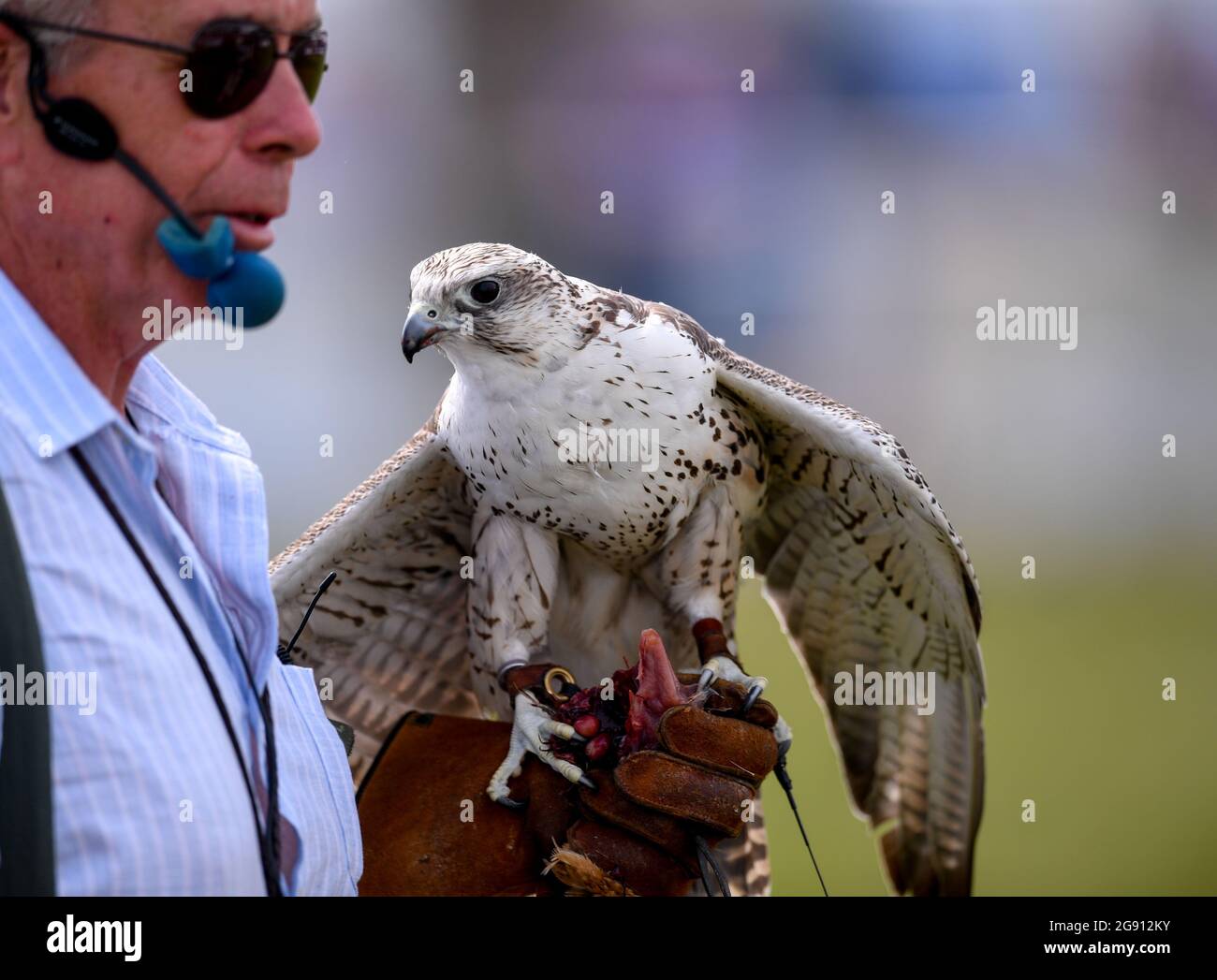 Game fair ragley hall hi-res stock photography and images - Alamy