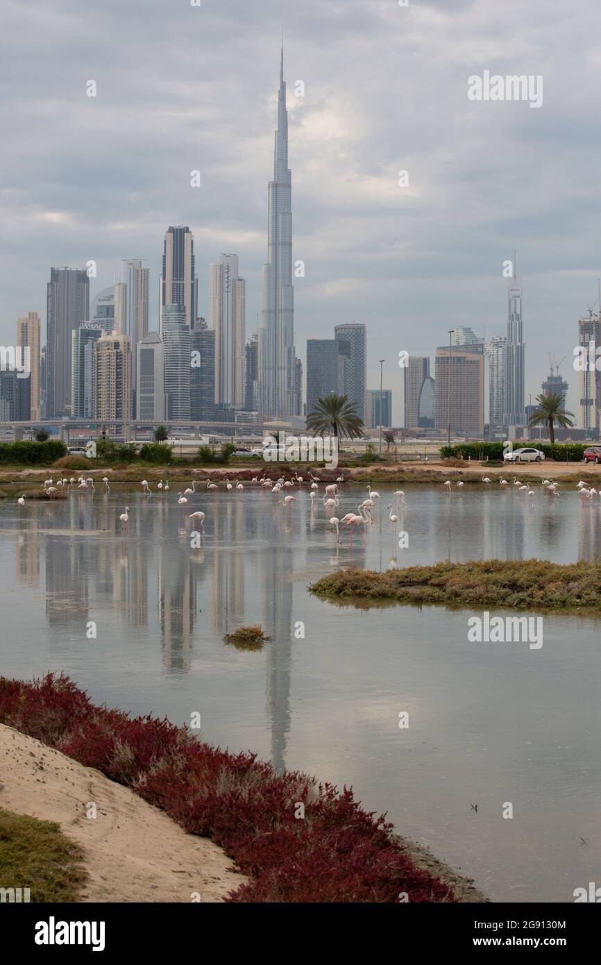 The impressive skyline including Burj Khalifa, the tallest building in ...
