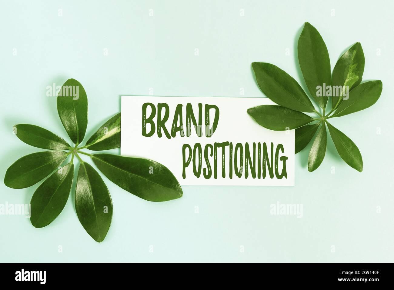 Inspiration showing sign Brand Positioning. Business showcase creating ...