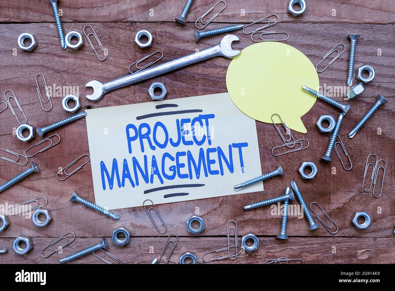 Hand writing sign Project Management. Concept meaning method of ...