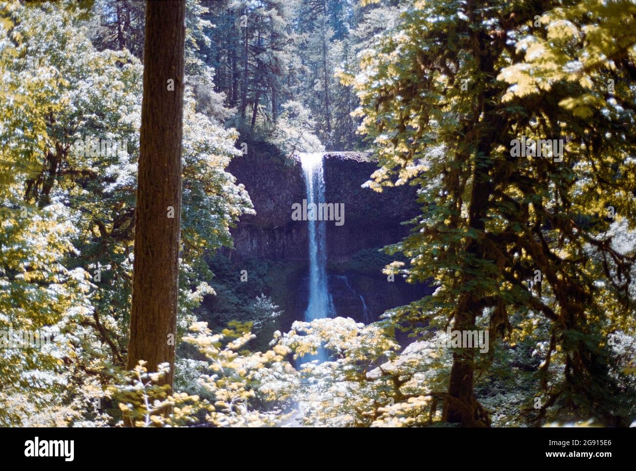 Waterfall Flowing Off Cliff In Forest at Silver Creek Falls Oregon ...