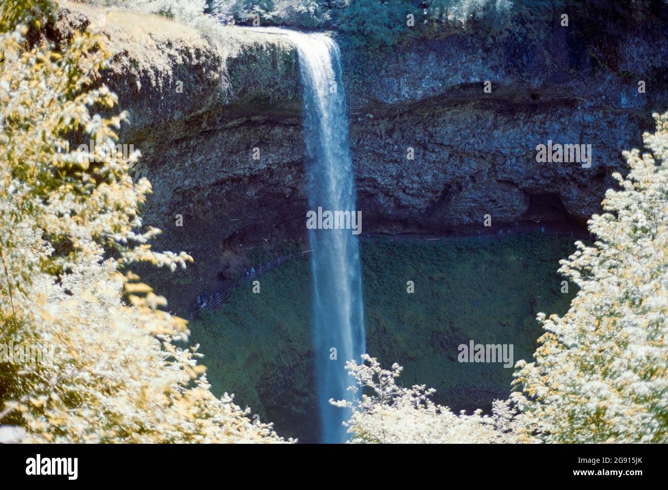 Waterfall Flowing Off Cliff Over Hiking Trail at Silver Creek Falls ...