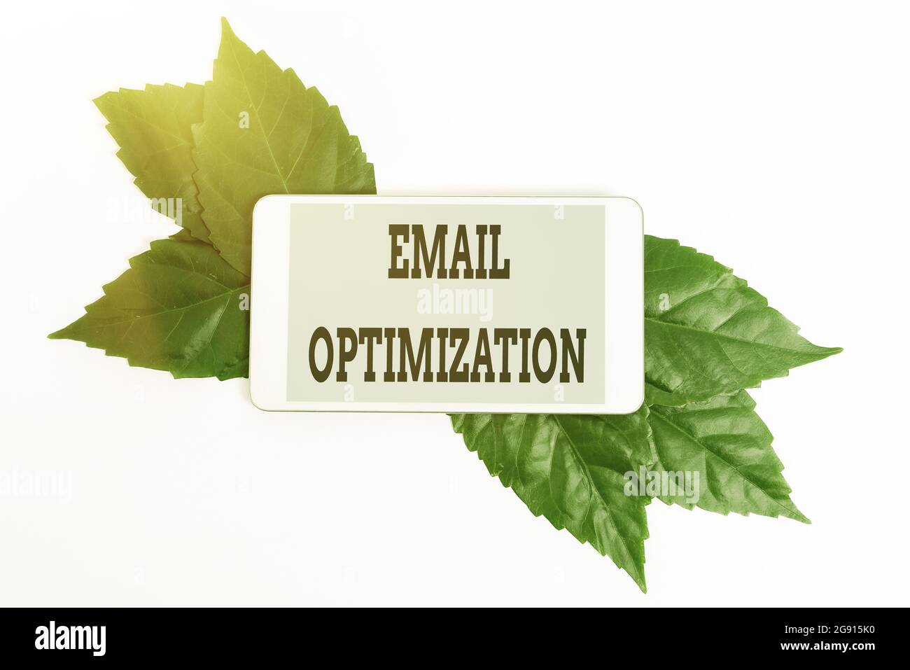 Text showing inspiration Email Optimization. Business idea email ...