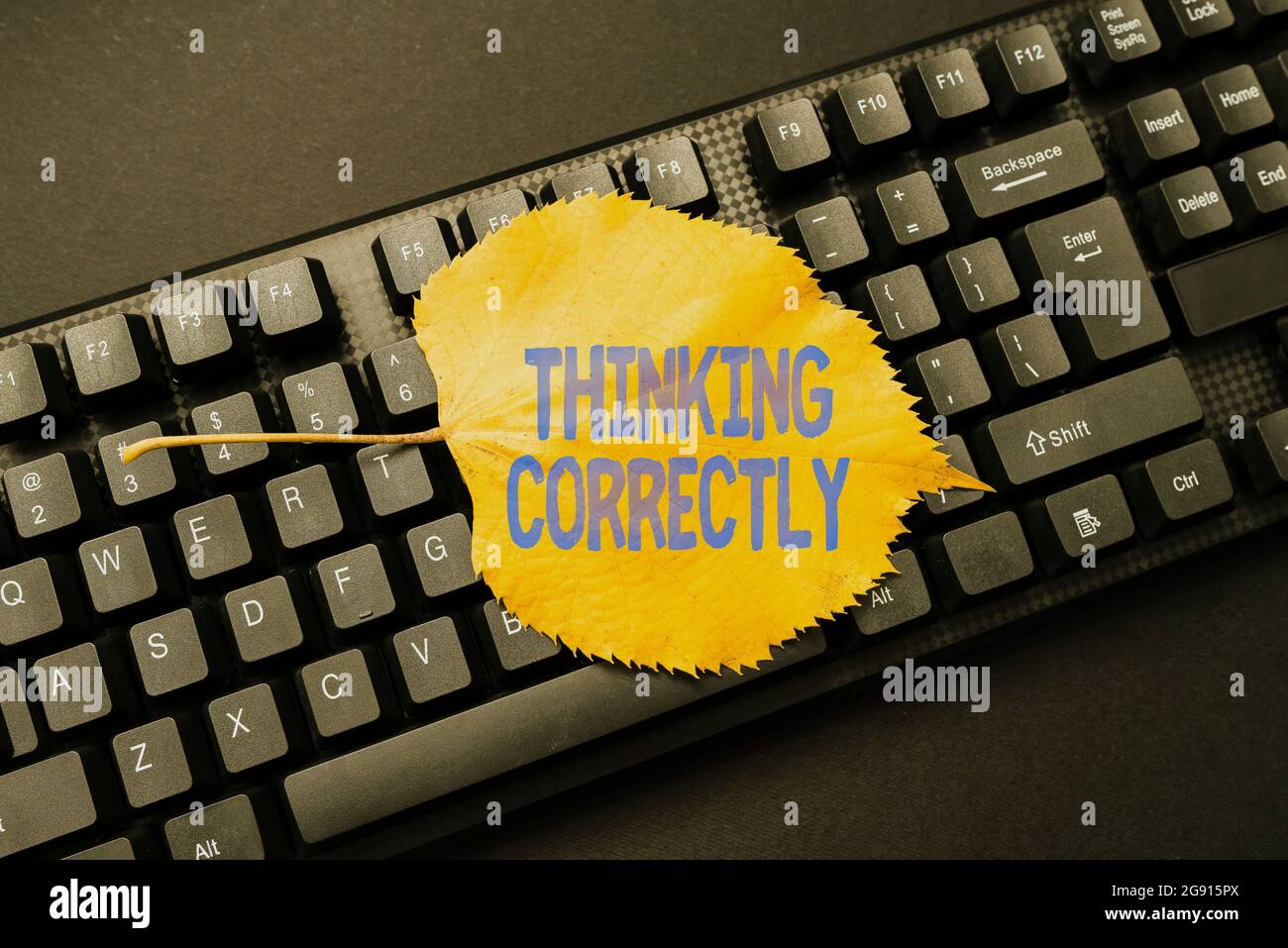 Sign displaying Thinking Correctly. Business showcase principle that ...