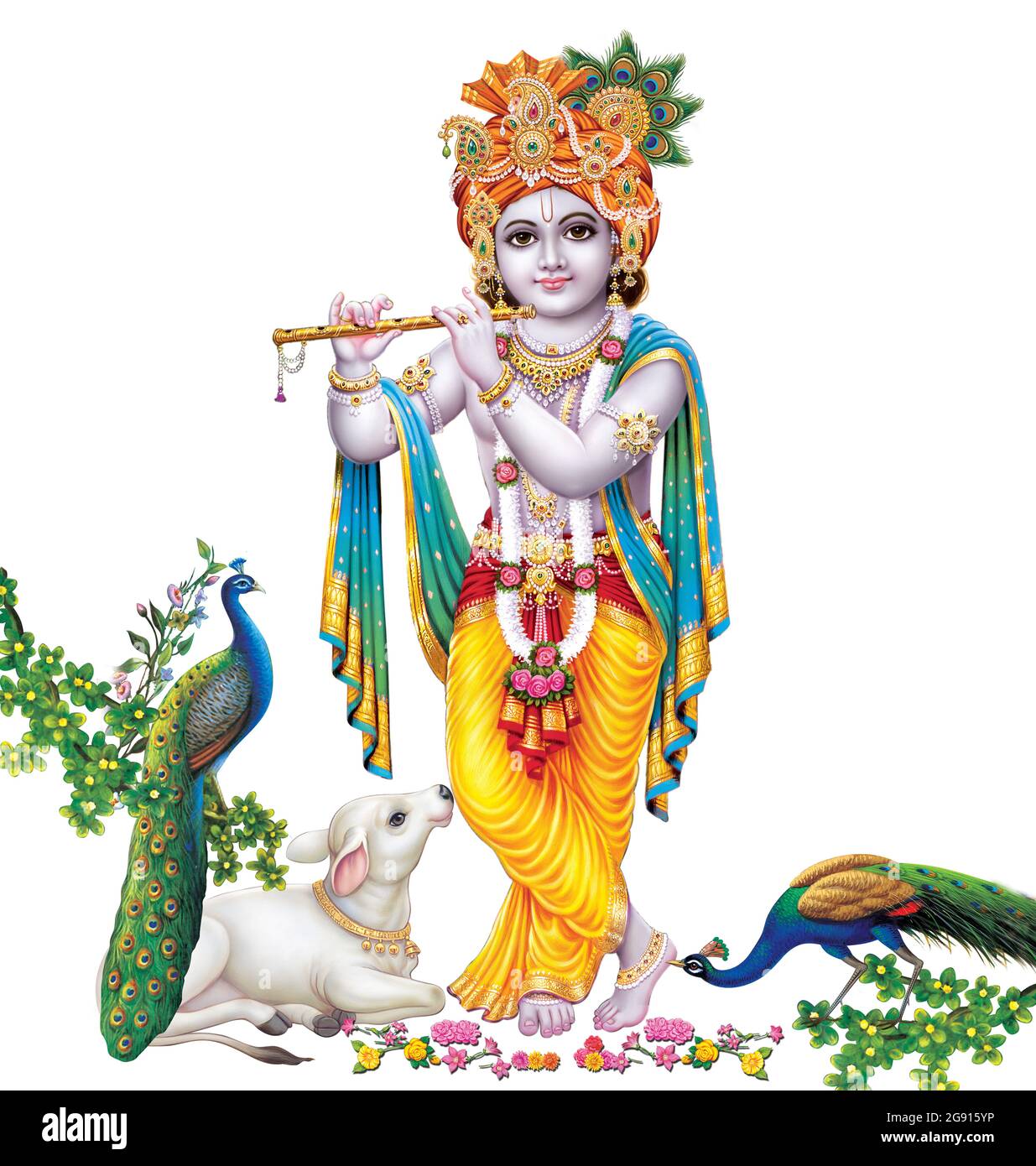 Indian God Lord Krishna High Resolution Illustration Stock Photo - Alamy