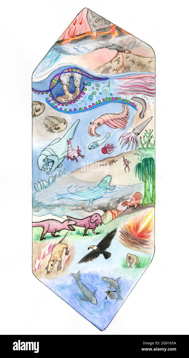 Earth timeline, illustration Stock Photo - Alamy