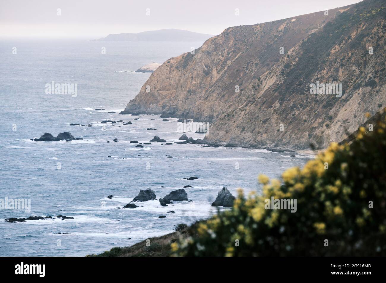 Large Cliffs Towering Over Ocean On Foggy Day at Point Reyes Stock ...