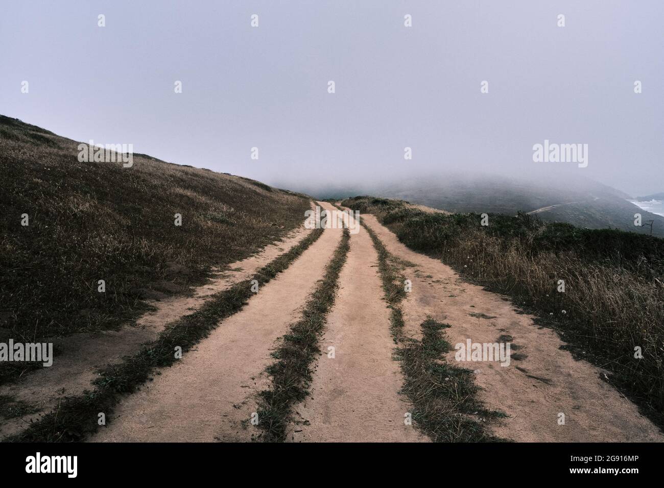 Hiking Trail Along Cliff Leading into Dense Fog at Point Reyes Stock ...